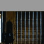 Bar BJ Products | Horse Products for Your Next Show